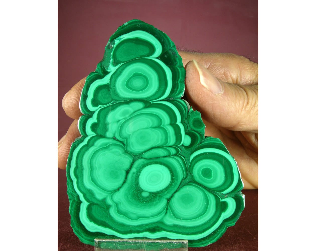 Home_front - The-Vug